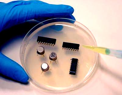 Computer biologico, rivoluzione alle porte - FASTWEBPLUS